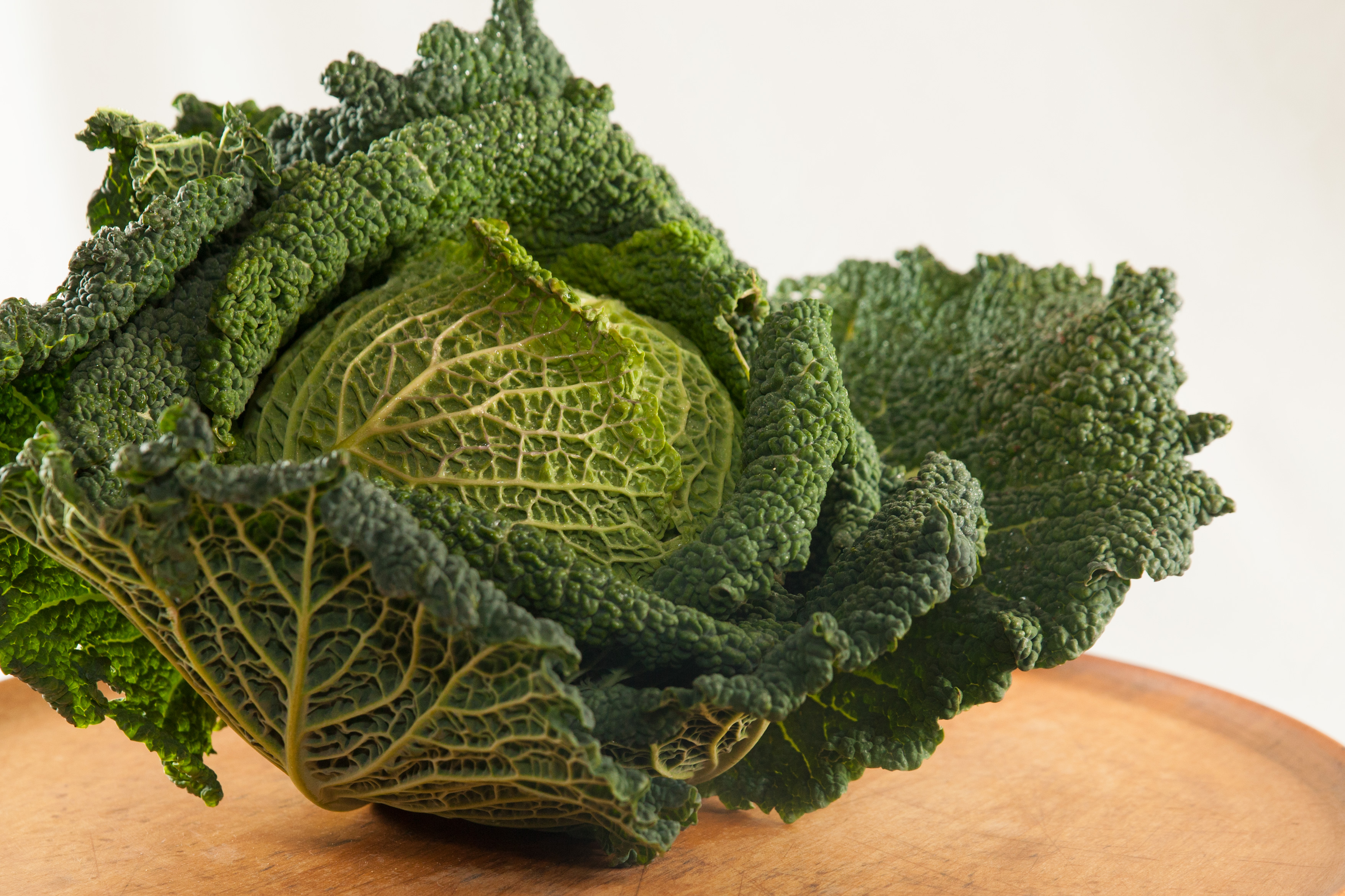 Wirsing | sachsenschmaus.de